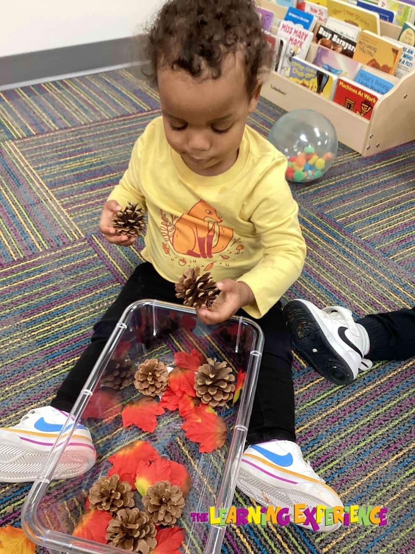 Preschool & Daycare | Hilliard, OH | The Learning Experience