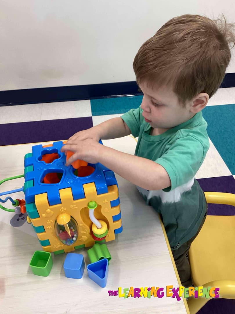 Daycare and Preschool in Lutz, FL - Lutz - The Learning Experience