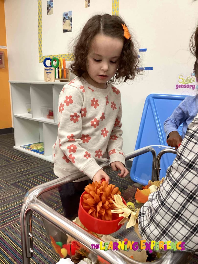 Preschool & Daycare | Hilliard, OH | The Learning Experience