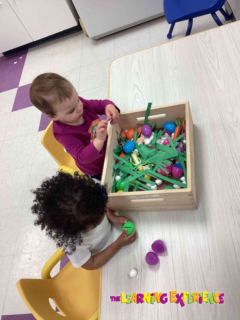 Holly Springs - The Learning Experience