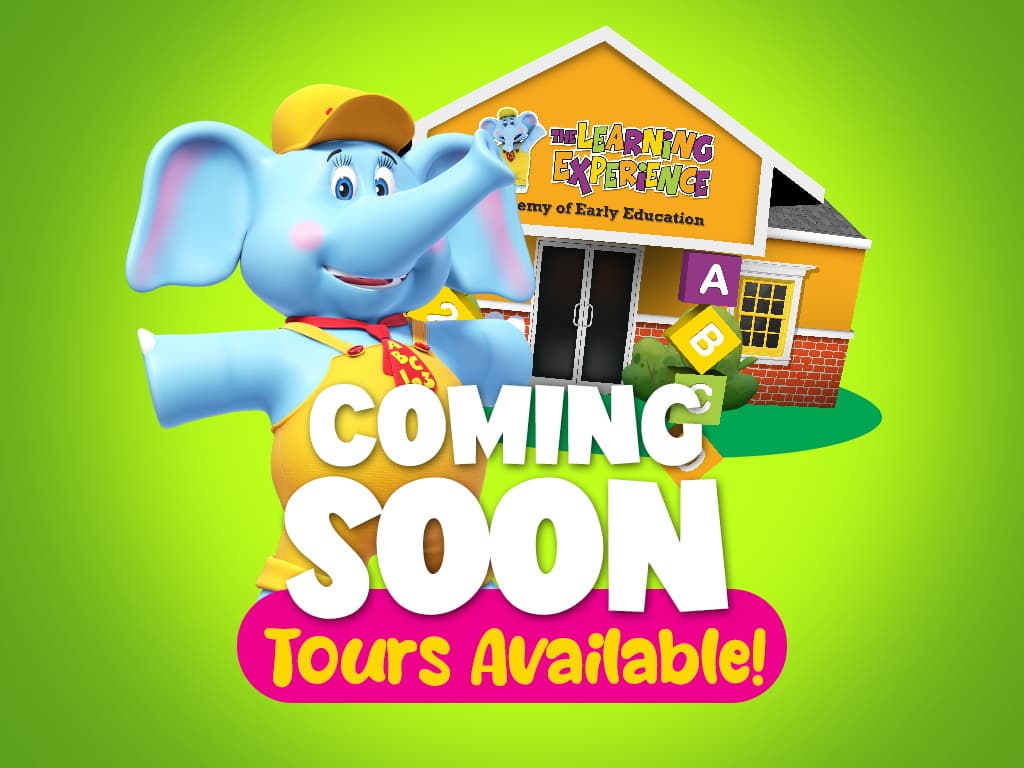 Search Centers - The Learning Experience